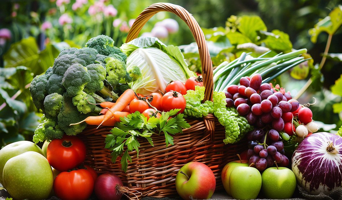 What are Macros? Why are They Important for Weight Loss, Health, and ...